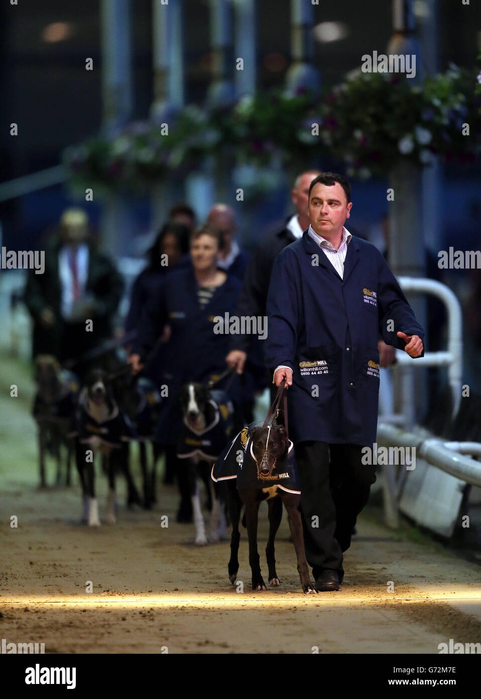 Greyhound Racing - William Hill Derby - Quarter Finals - Wimbledon ...