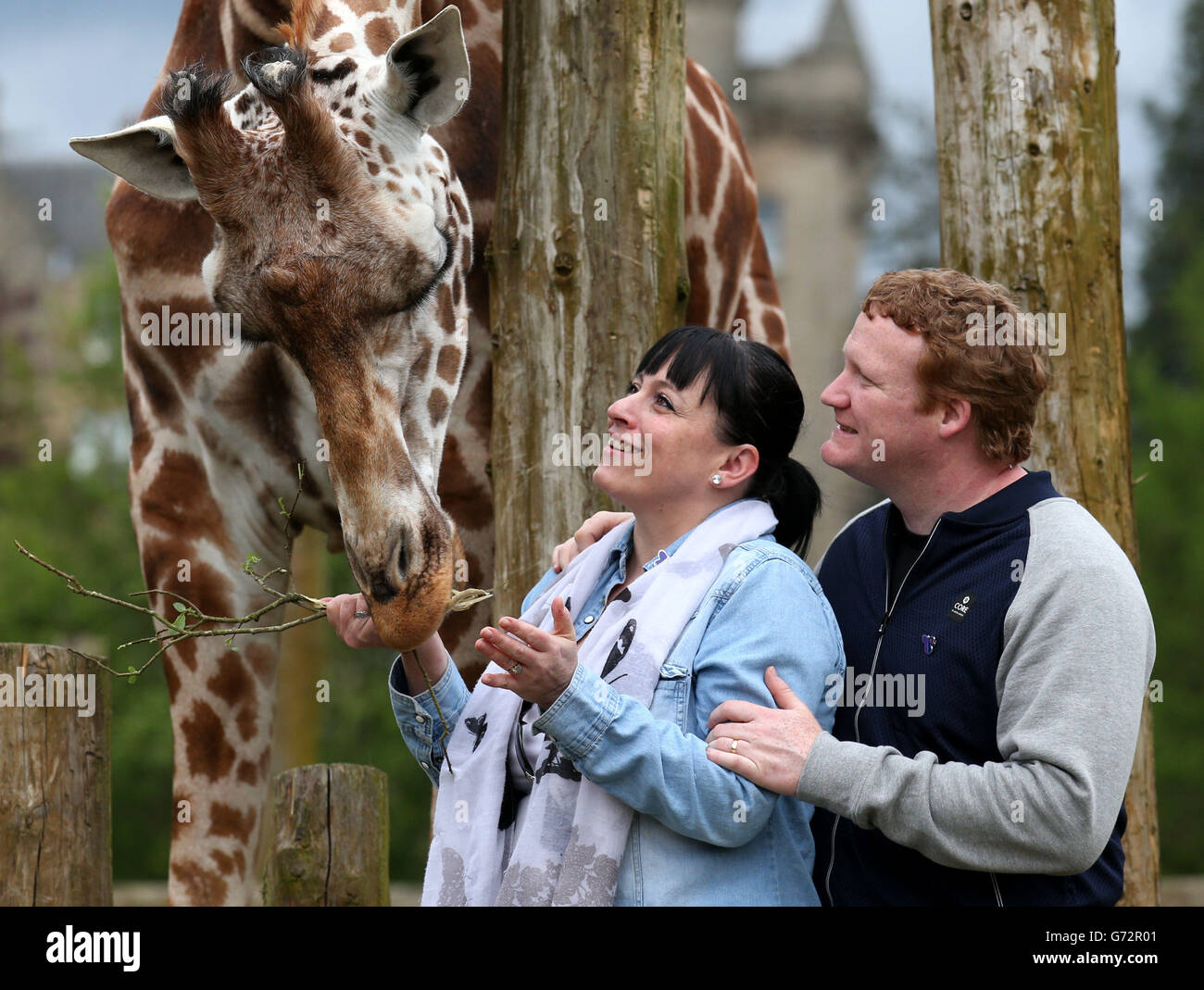 Gordon Brown with wife Nicole feeding giraffes at Blair Drummond Safari ...