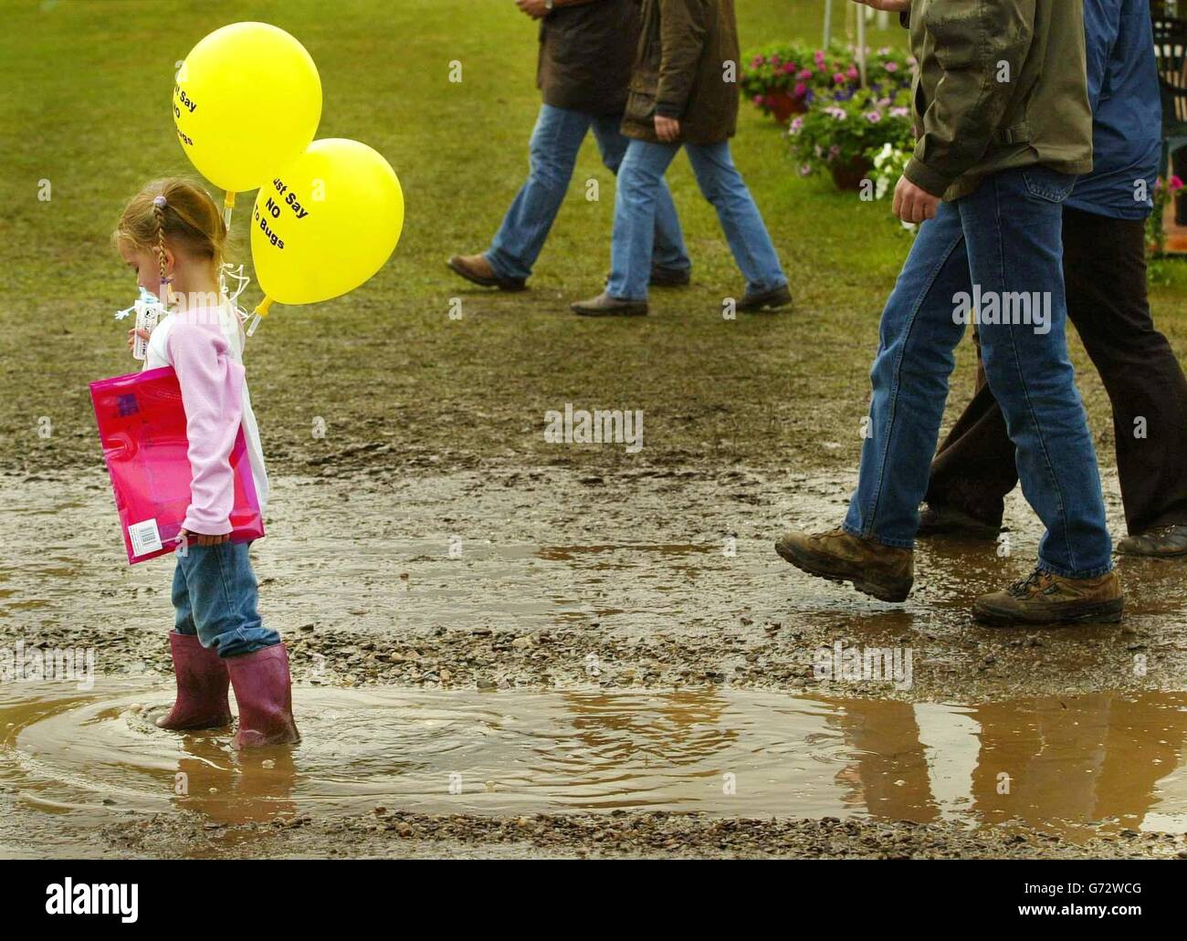 Scottish game fair scone hi-res stock photography and images - Alamy