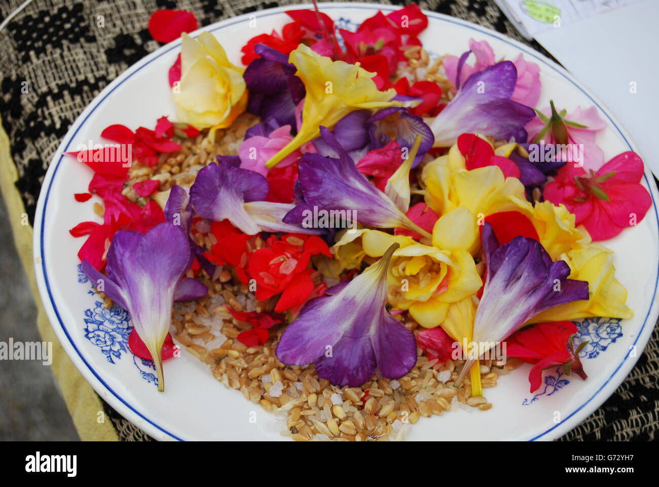 View of an assortment of edible flowers with plate Stock Photo - Alamy