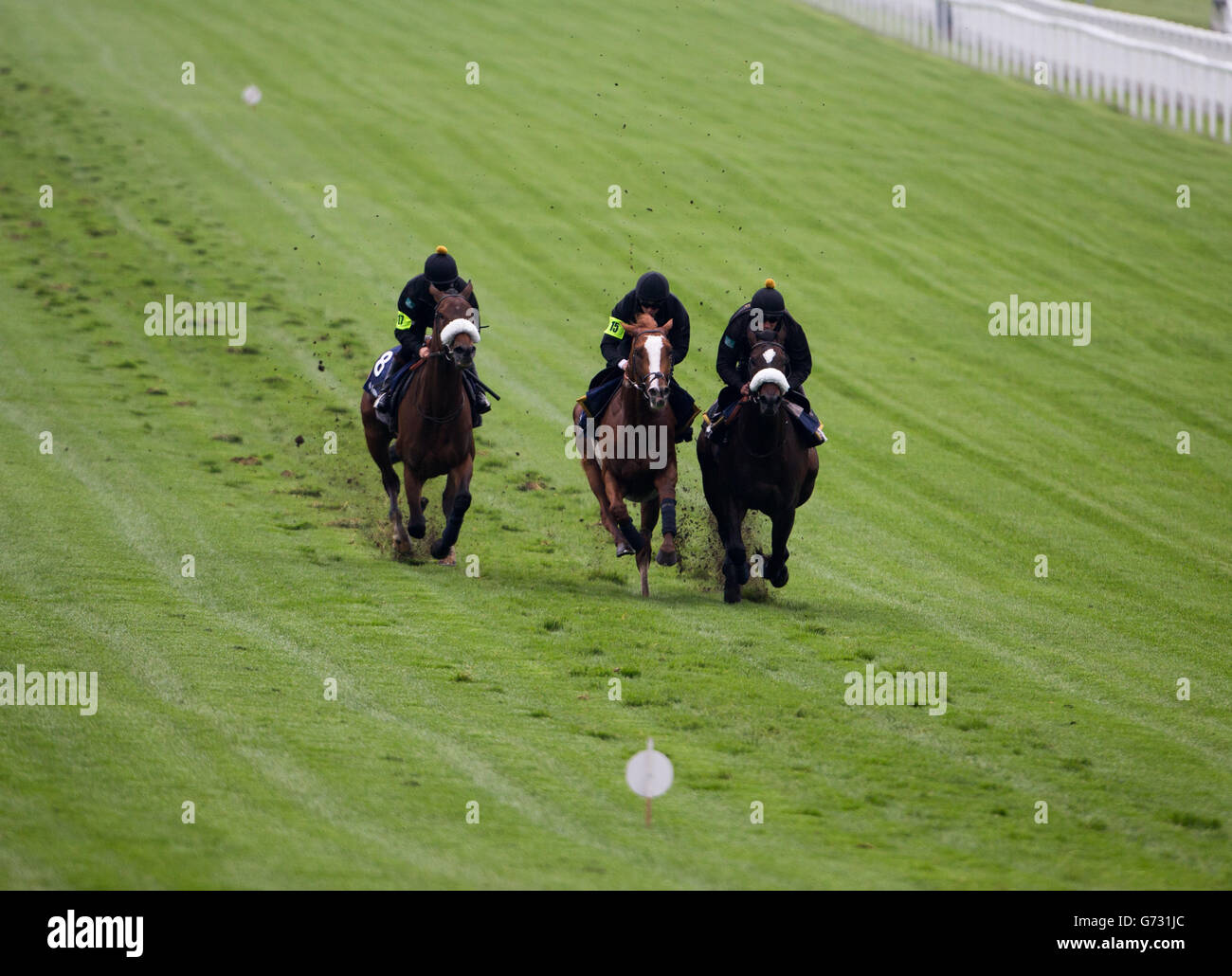 Horse Racing - Breakfast with the Stars - Epsom Downs Racecourse Stock ...