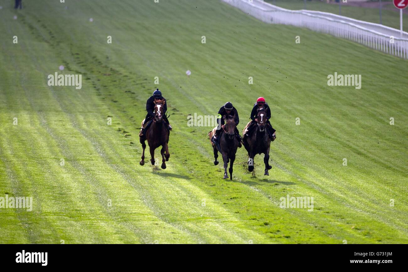 Horse Racing - Breakfast with the Stars - Epsom Downs Racecourse Stock ...