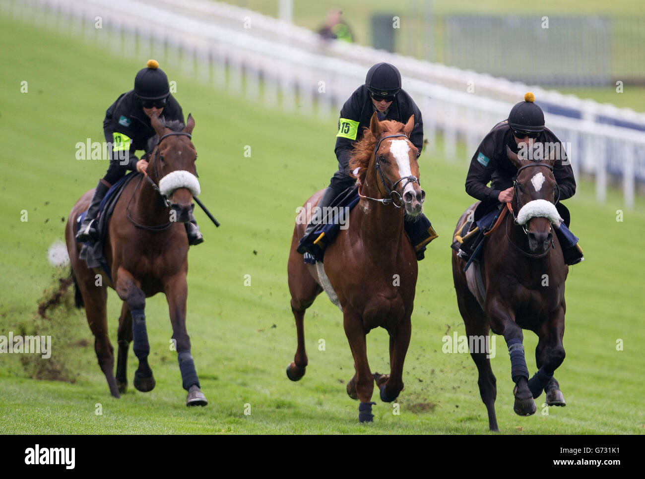 Horse Racing - Breakfast with the Stars - Epsom Downs Racecourse Stock ...