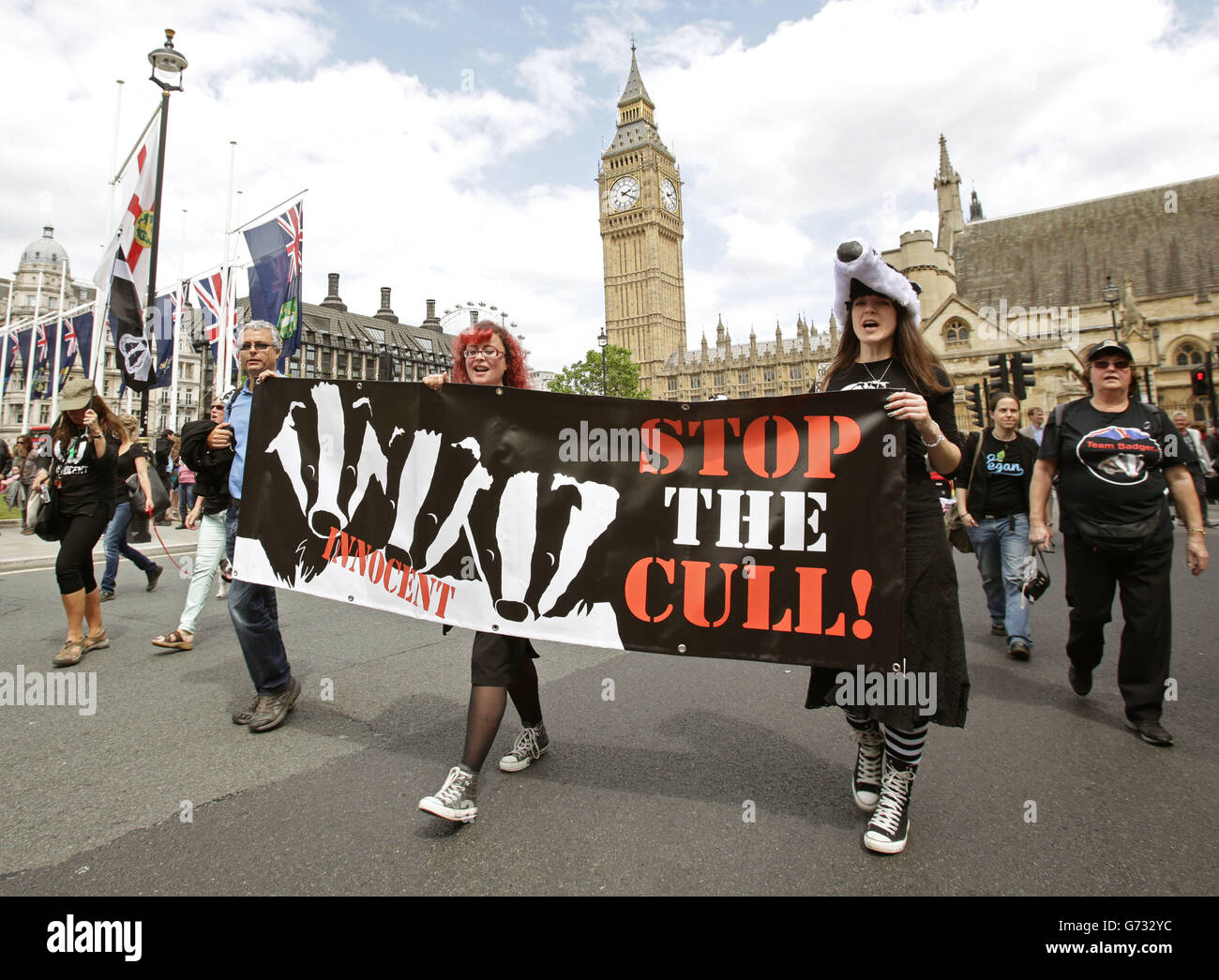 Anti Badger High Resolution Stock Photography and Images - Alamy