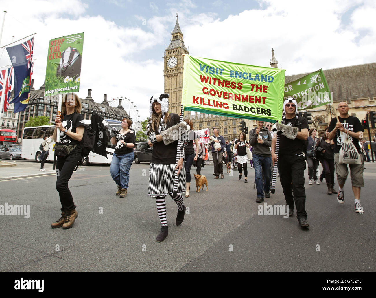 Anti badger hi-res stock photography and images - Alamy