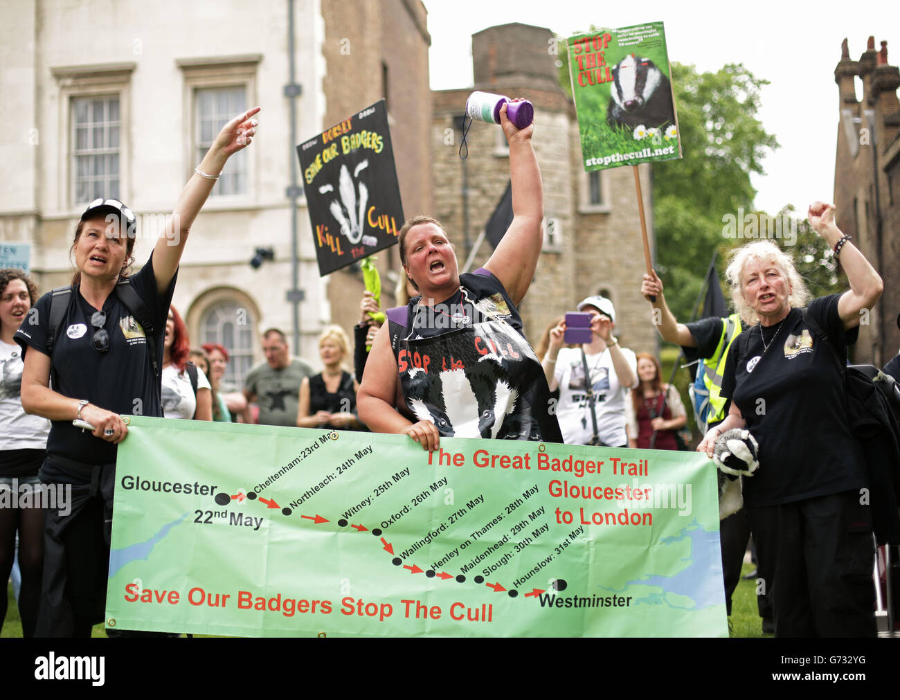 Anti-badger cull protest Stock Photo - Alamy