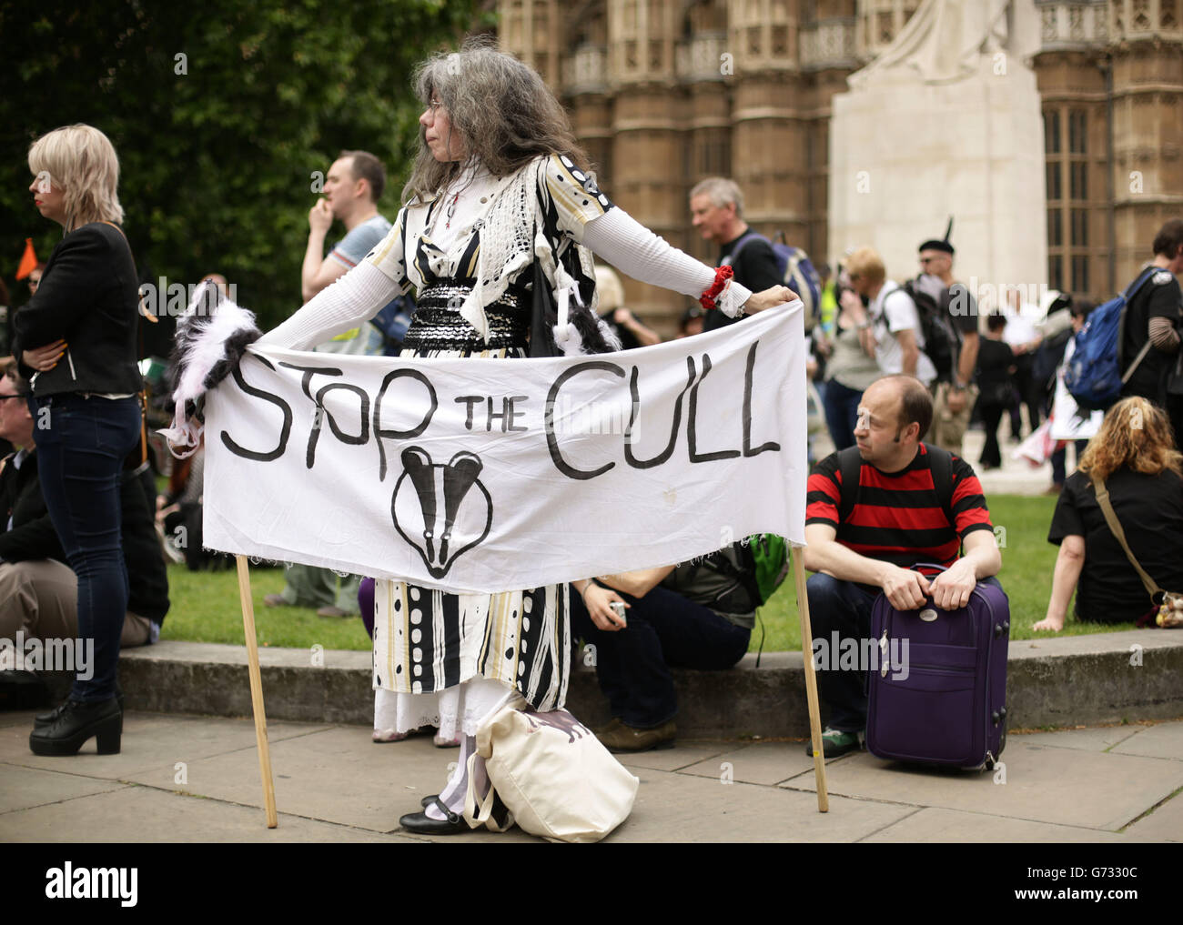 Anti-badger cull protest Stock Photo - Alamy