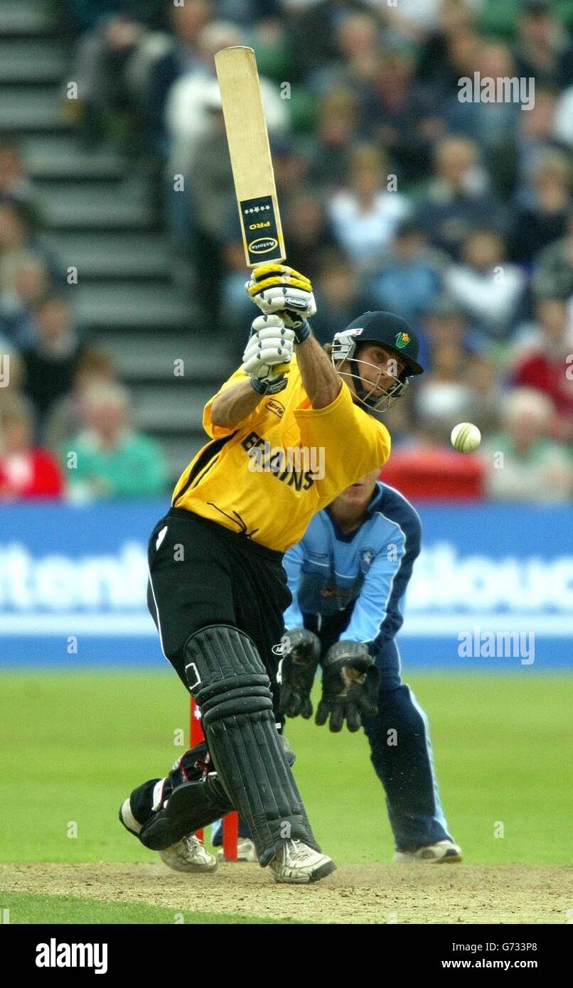 CRICKET Twenty20 2 Stock Photo - Alamy