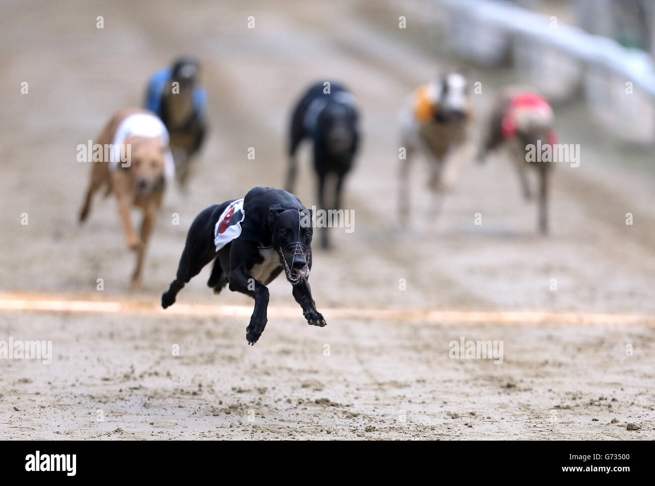 Romantic rambo hi-res stock photography and images - Alamy