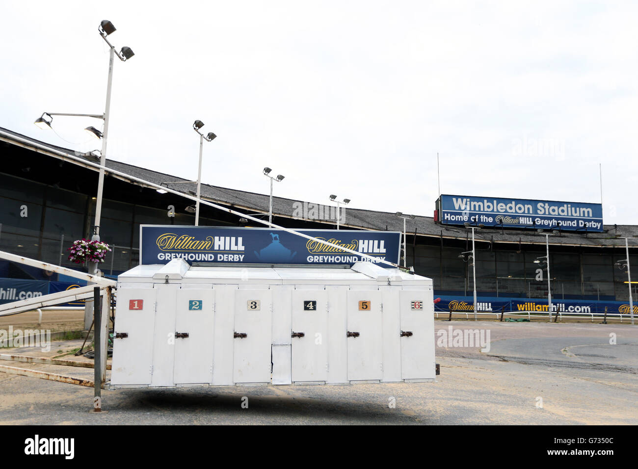 Greyhound Racing - William Hill Derby - Final - Wimbledon Stadium ...