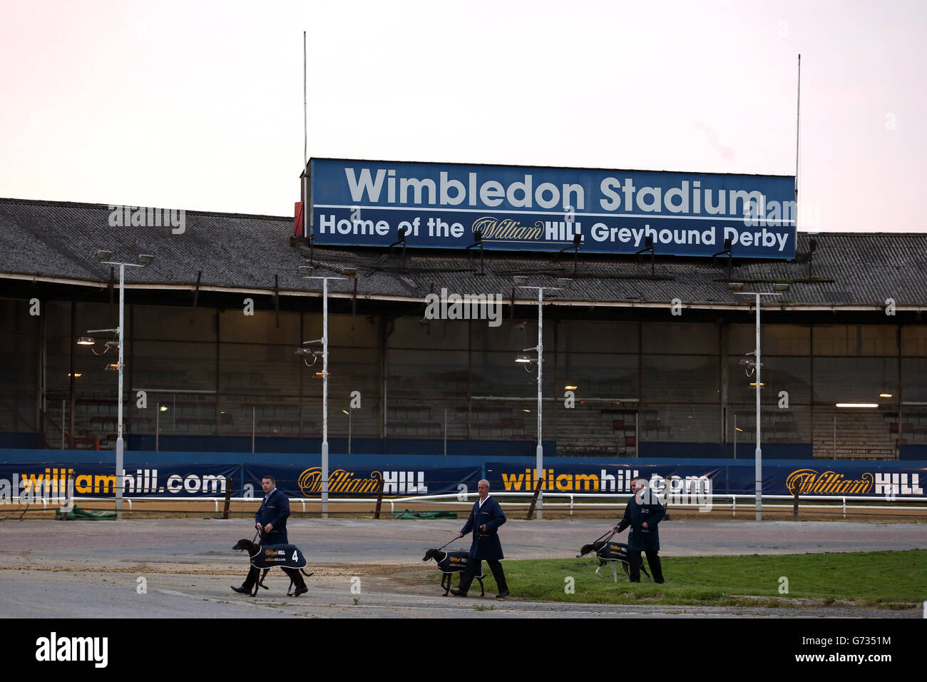 Greyhound Racing - William Hill Derby - Final - Wimbledon Stadium Stock ...