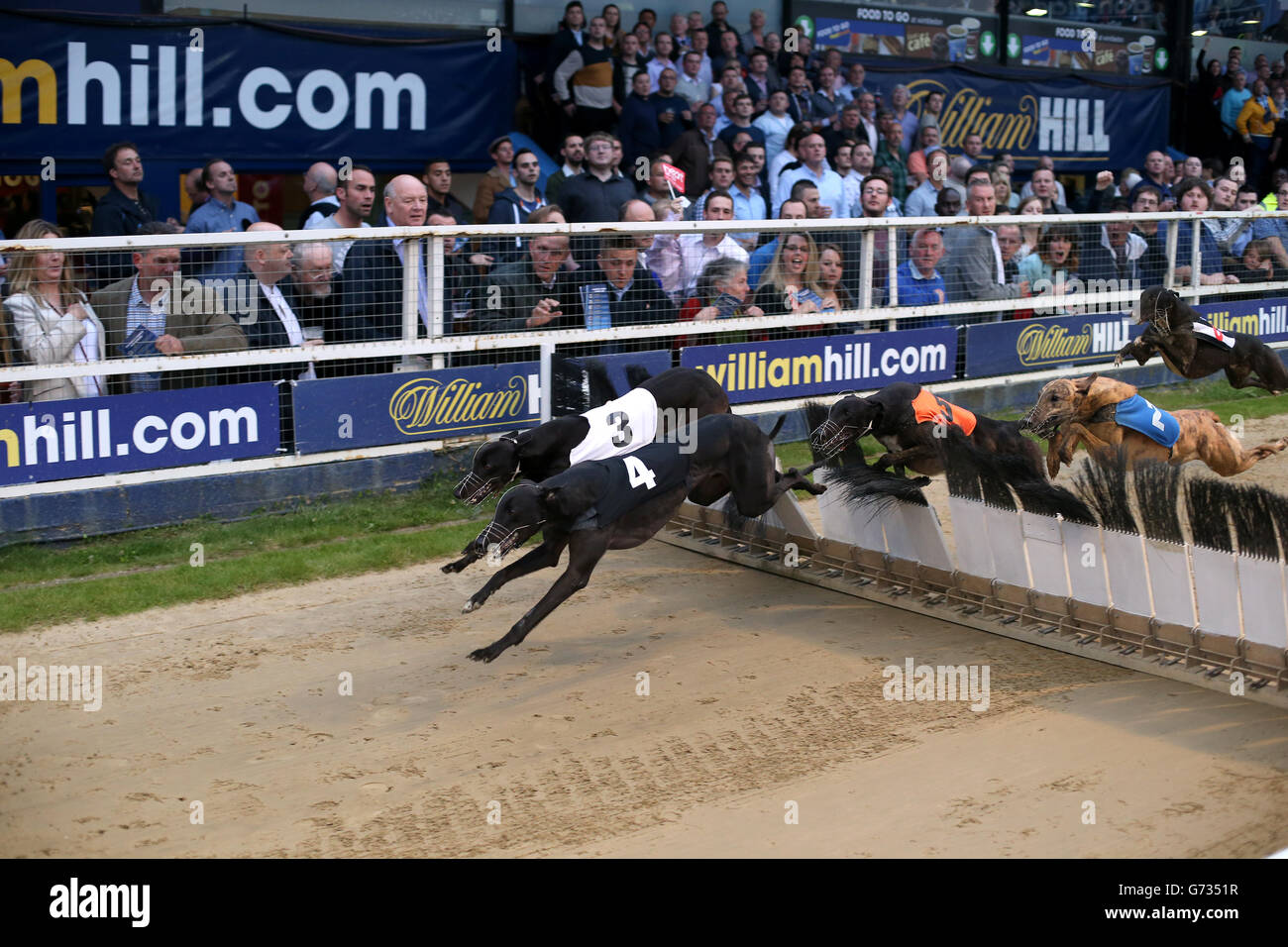 Racing action at wimbledon stadium hi-res stock photography and images ...
