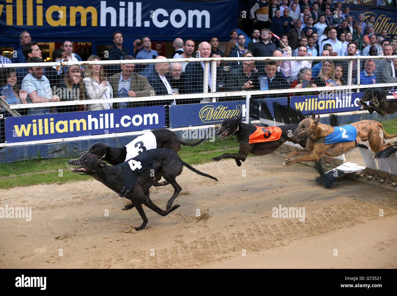 Racing action at wimbledon stadium hi-res stock photography and images ...