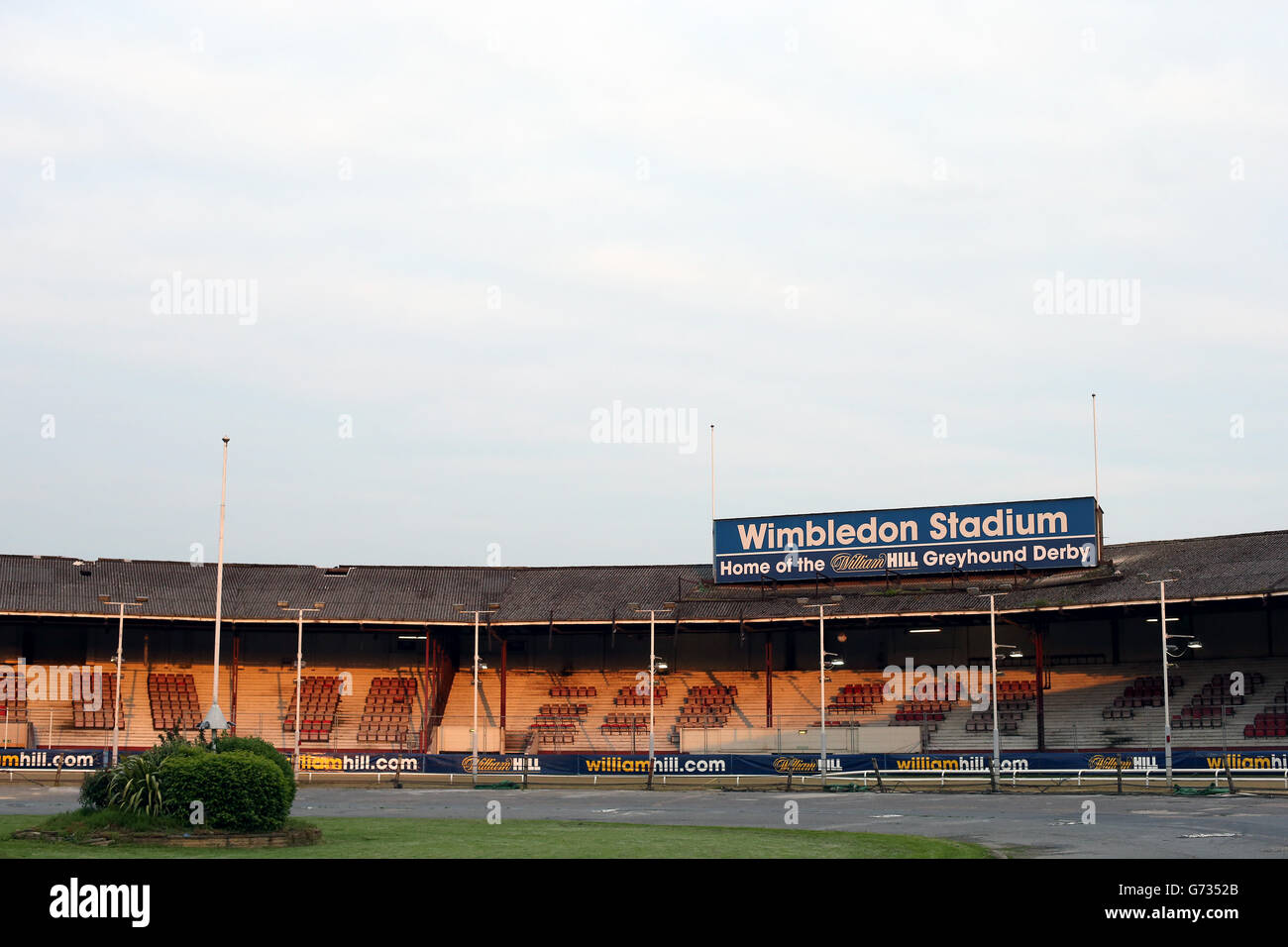 Greyhound Racing - William Hill Derby - Final - Wimbledon Stadium Stock ...