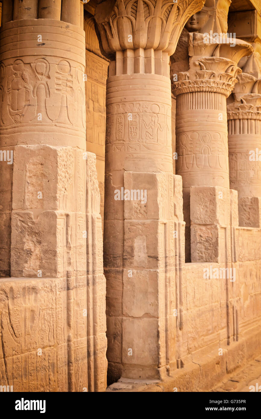 Columns of Hathor head goddess in Philae Temple (near Aswan, Egypt ...