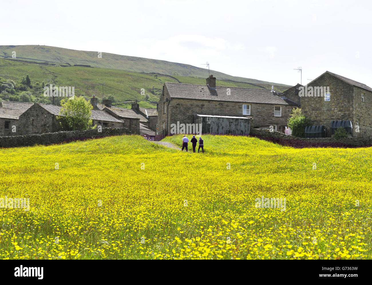 Summer weather June 8th Stock Photo - Alamy