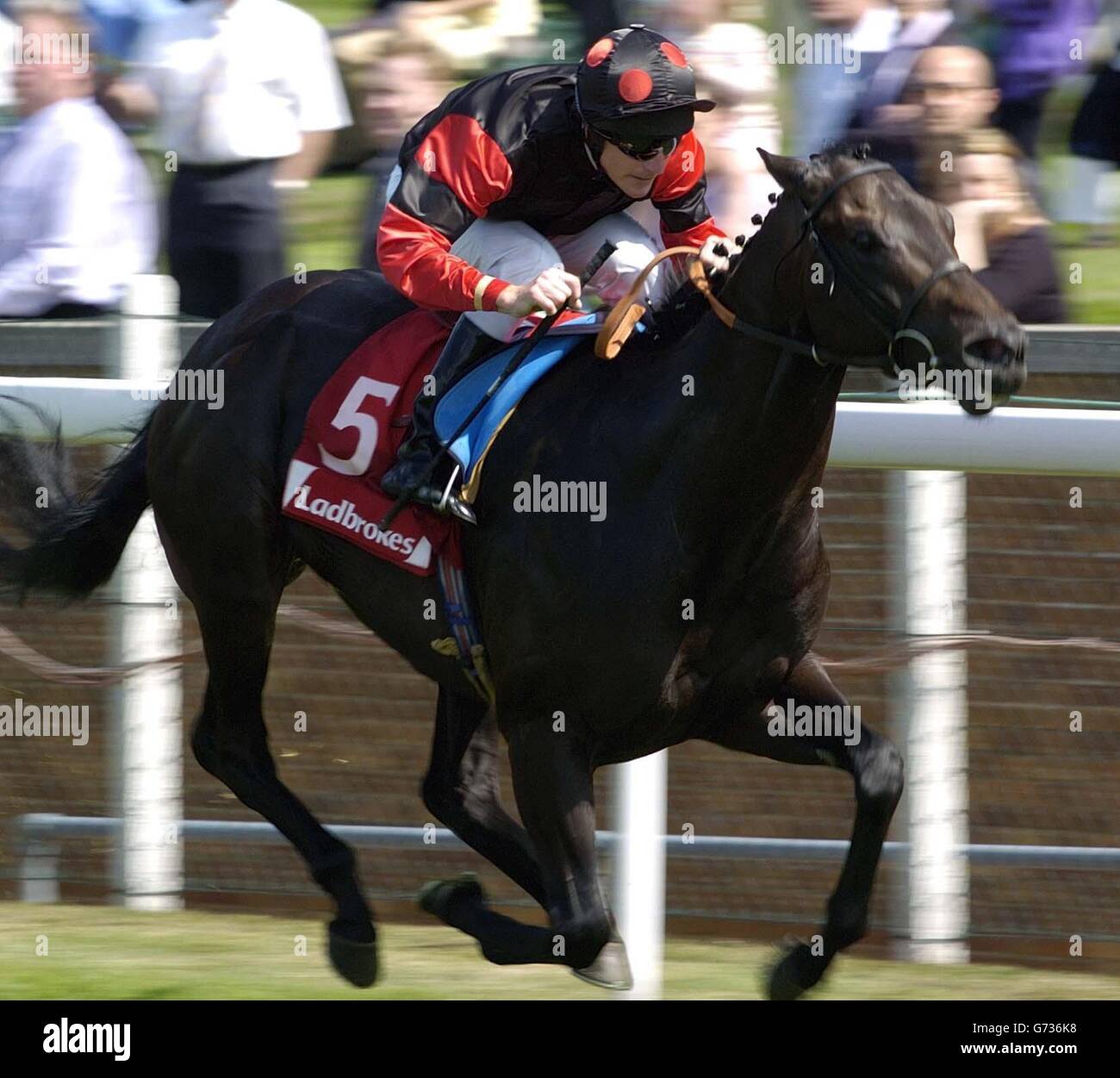 Racing From Ascot Stock Photo - Alamy