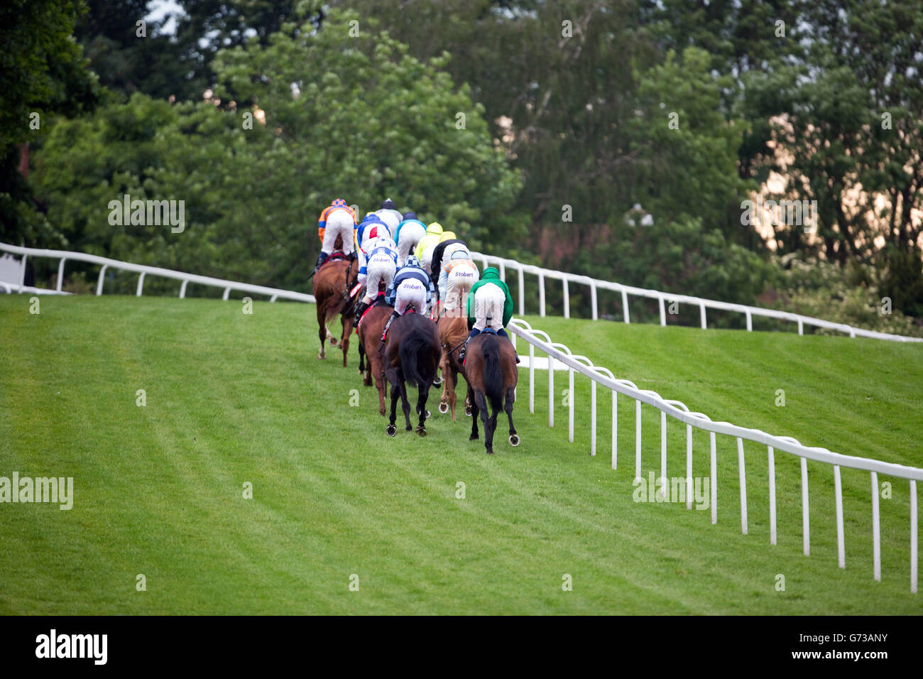 Horses complete first circuit hi-res stock photography and images - Alamy
