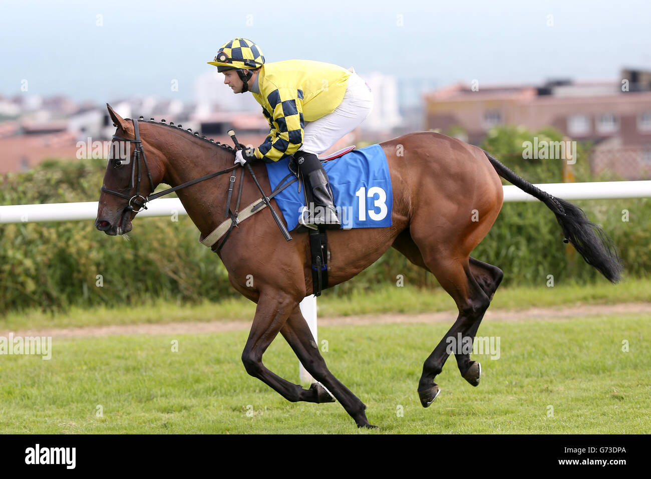 Horse Racing - Brighton Races Stock Photo - Alamy