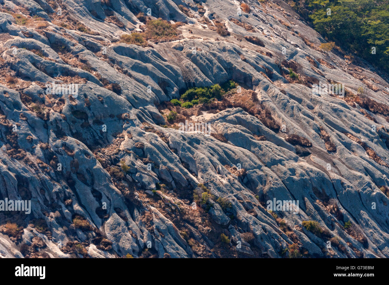 Eastern highlands agriculture zimbabwe hi-res stock photography and ...