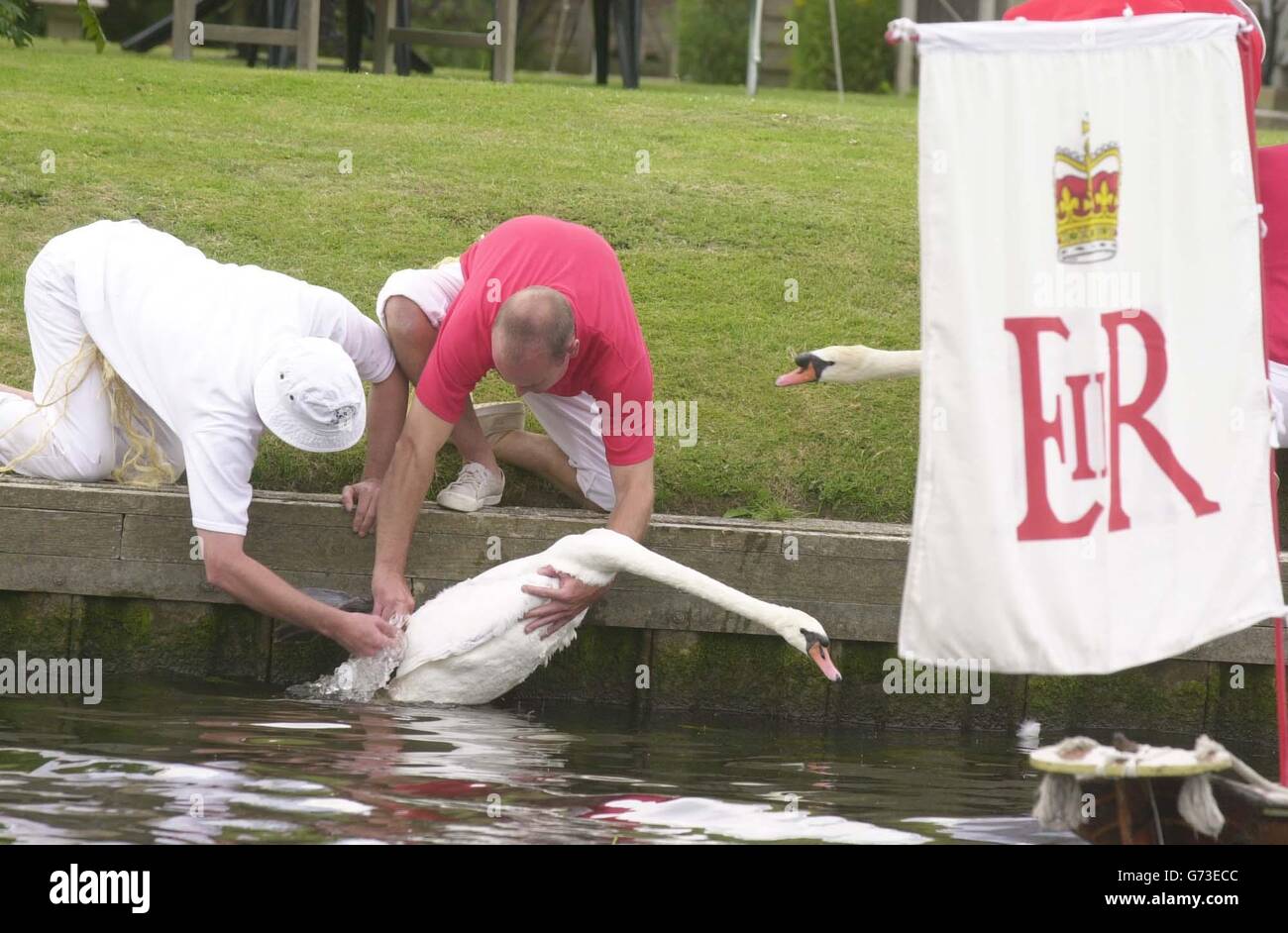 Customs and traditions swan upping hi-res stock photography and images ...