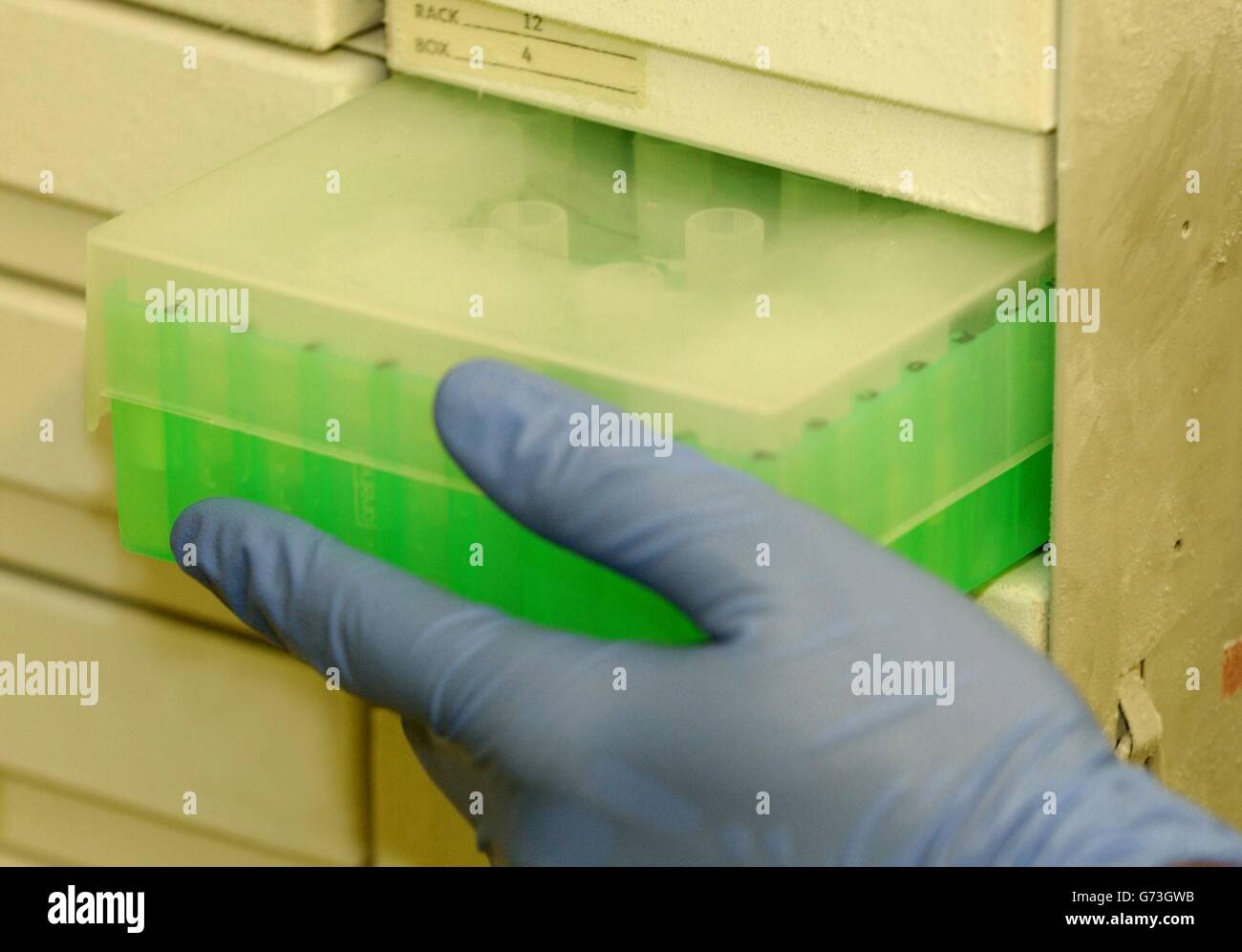 Frozen ark hi-res stock photography and images - Alamy