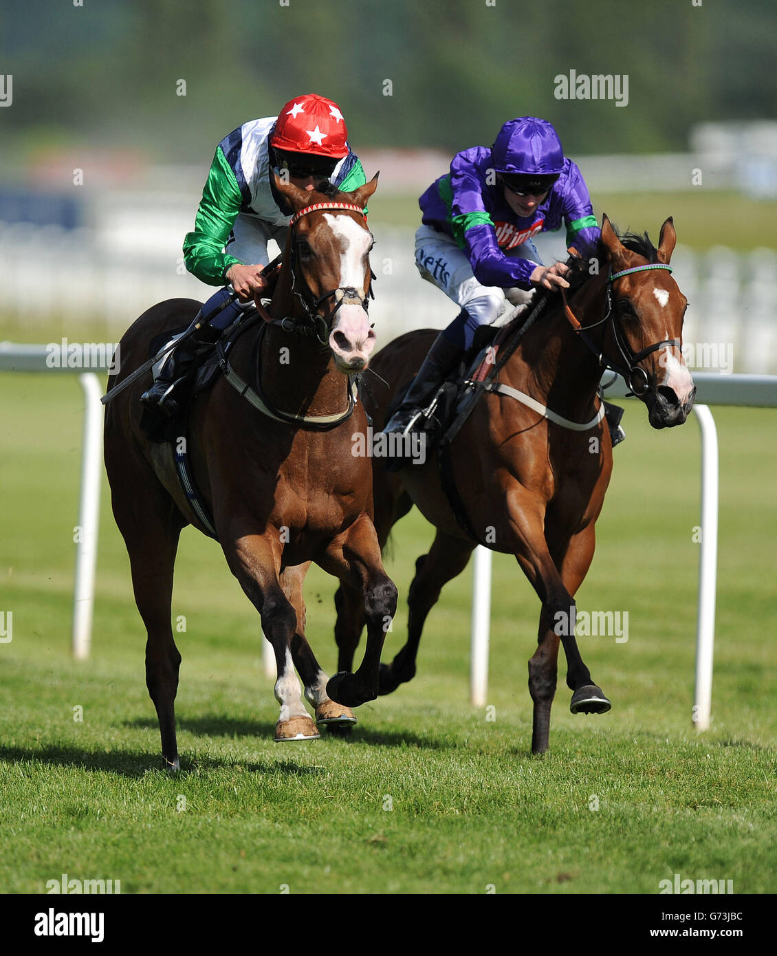 Horse Racing - Newbury Racecourse Stock Photo - Alamy