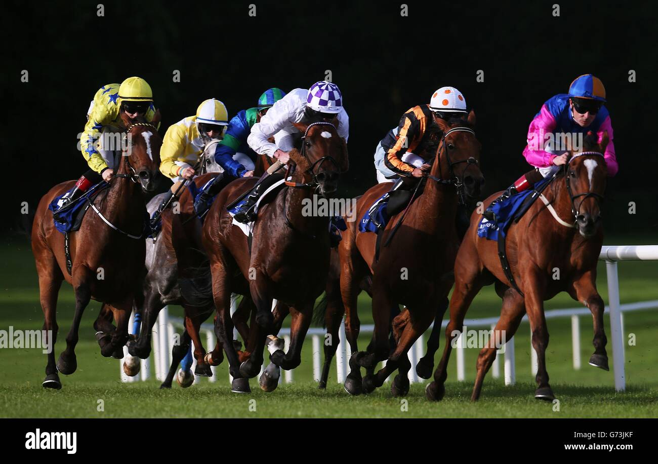 Horse Racing - Leopardstown Racecourse Stock Photo - Alamy