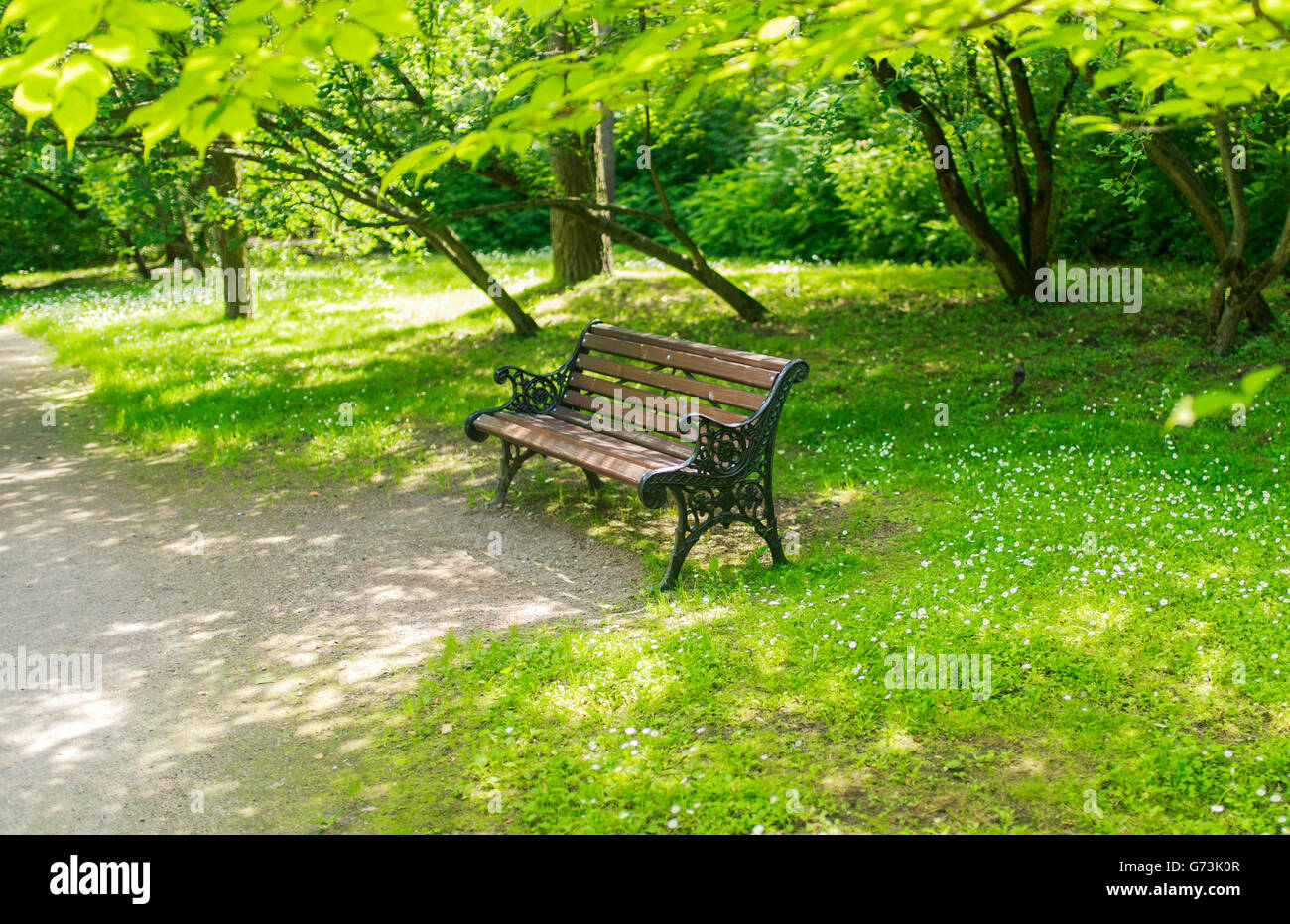 bench in the summer Park Stock Photo - Alamy