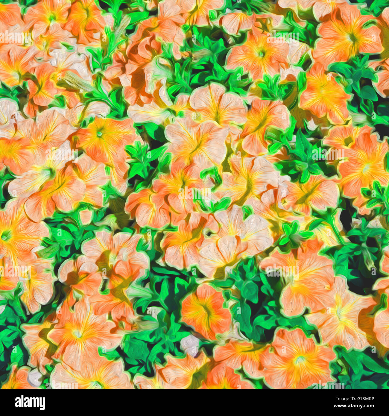 in the spring colors oman flowers and garden painted Stock Photo - Alamy