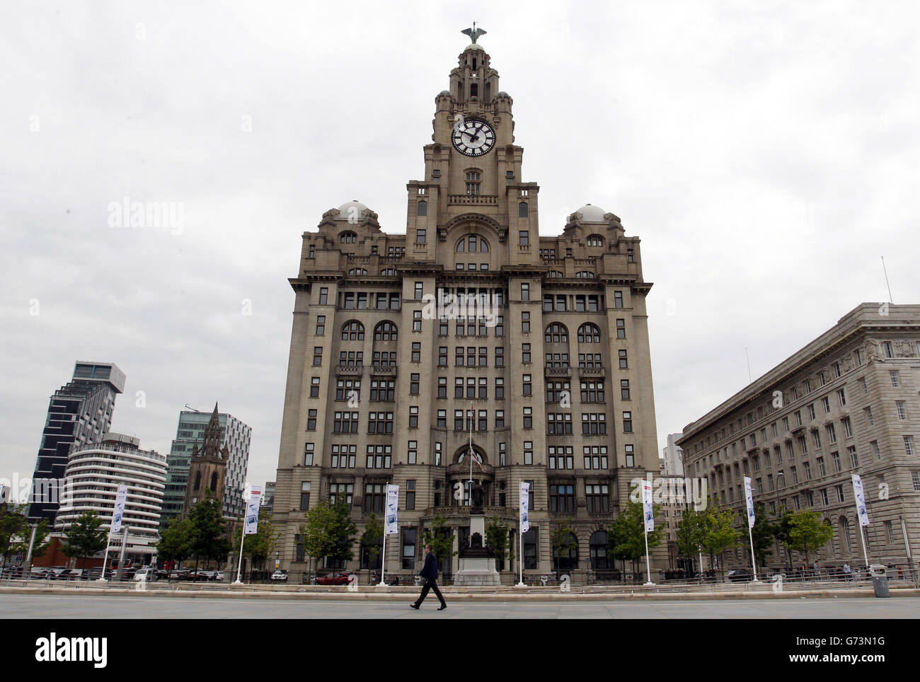 Liver building stock hi-res stock photography and images - Alamy