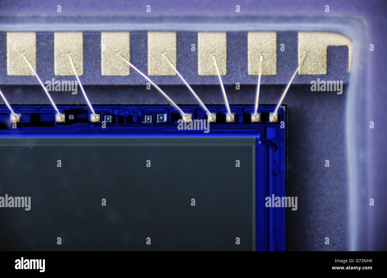Macro photo of micro gold contacts are connecting matrix with PCB board ...