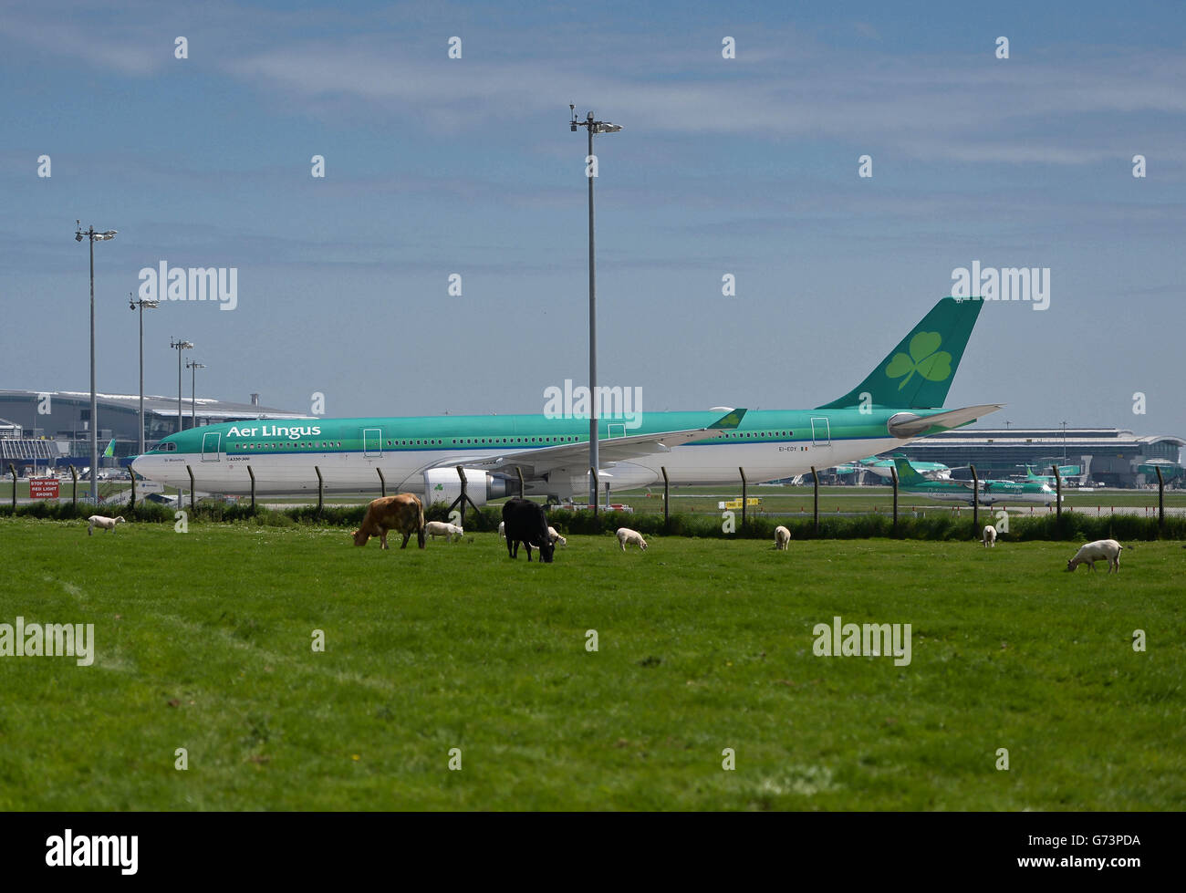 Aer lingus and cabin hi-res stock photography and images - Alamy