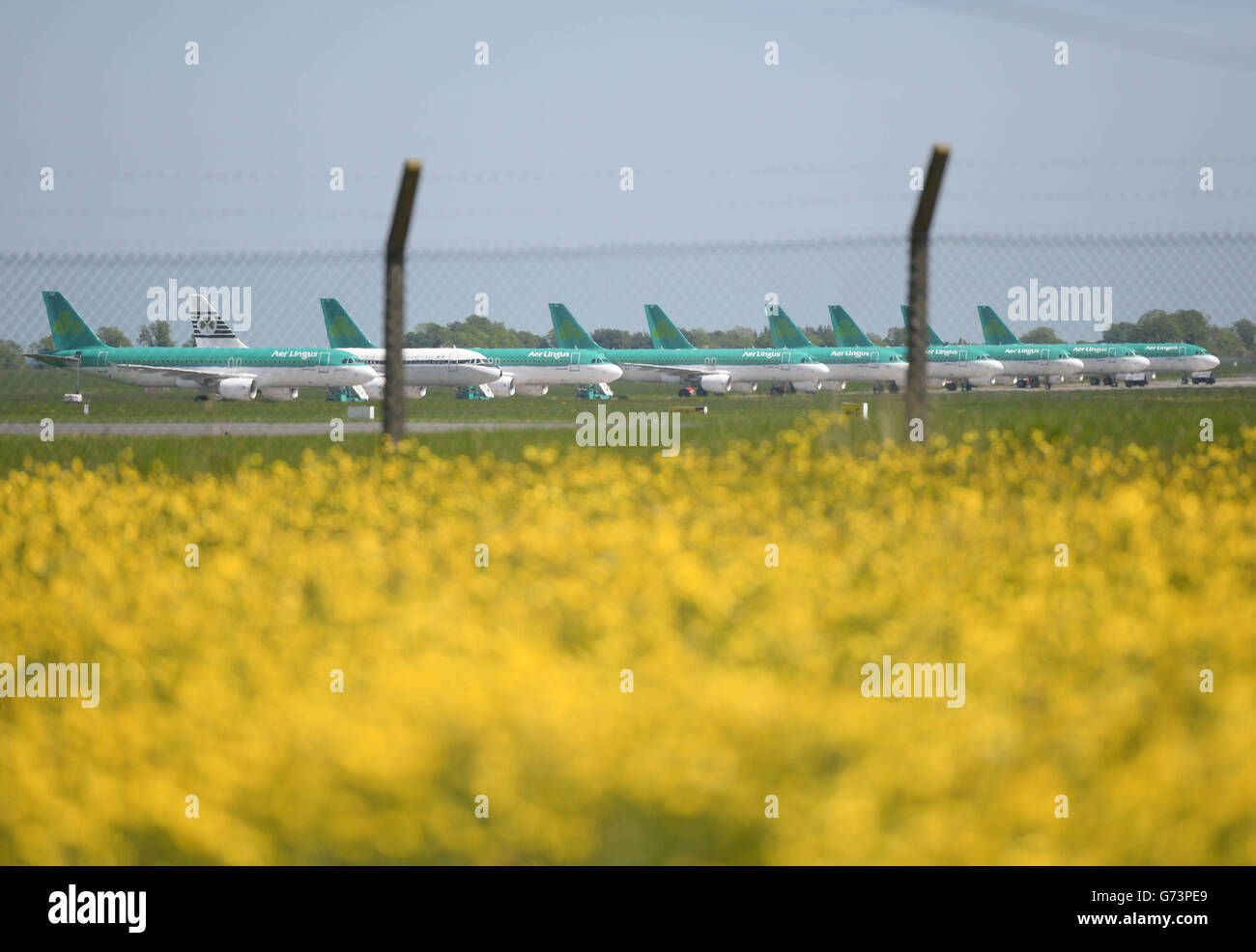 Aer Lingus planes at Dublin Airport as 200 flights have been disrupted ...