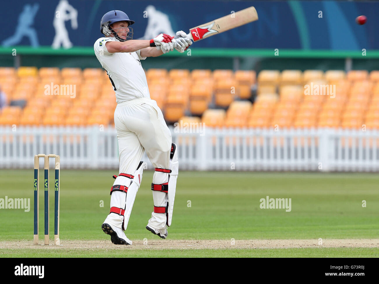 Gloucestershire's Will Gidman celebrates reaching his half century ...