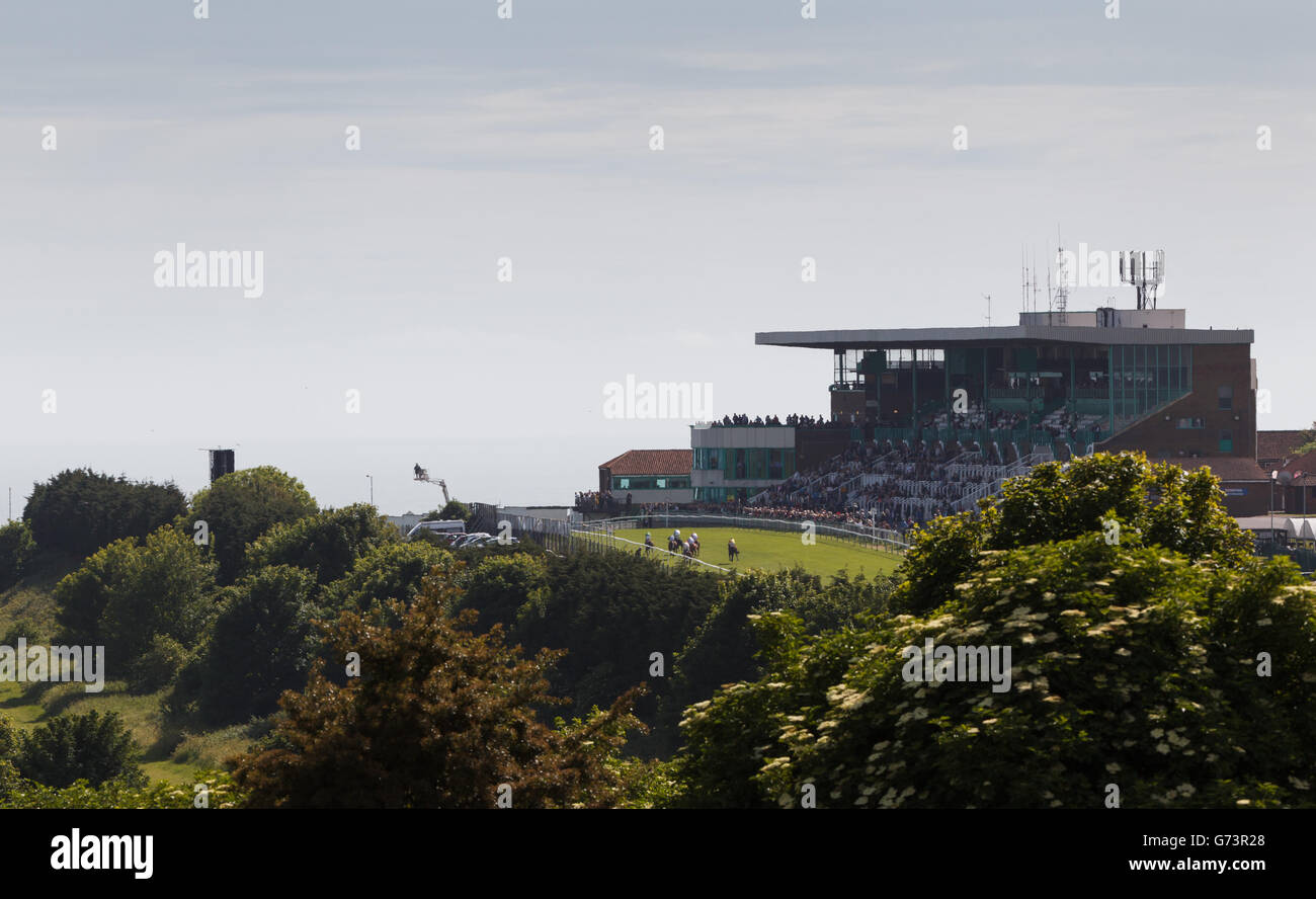 The field pass the grandstand to finish in The Brighton & Hove ...