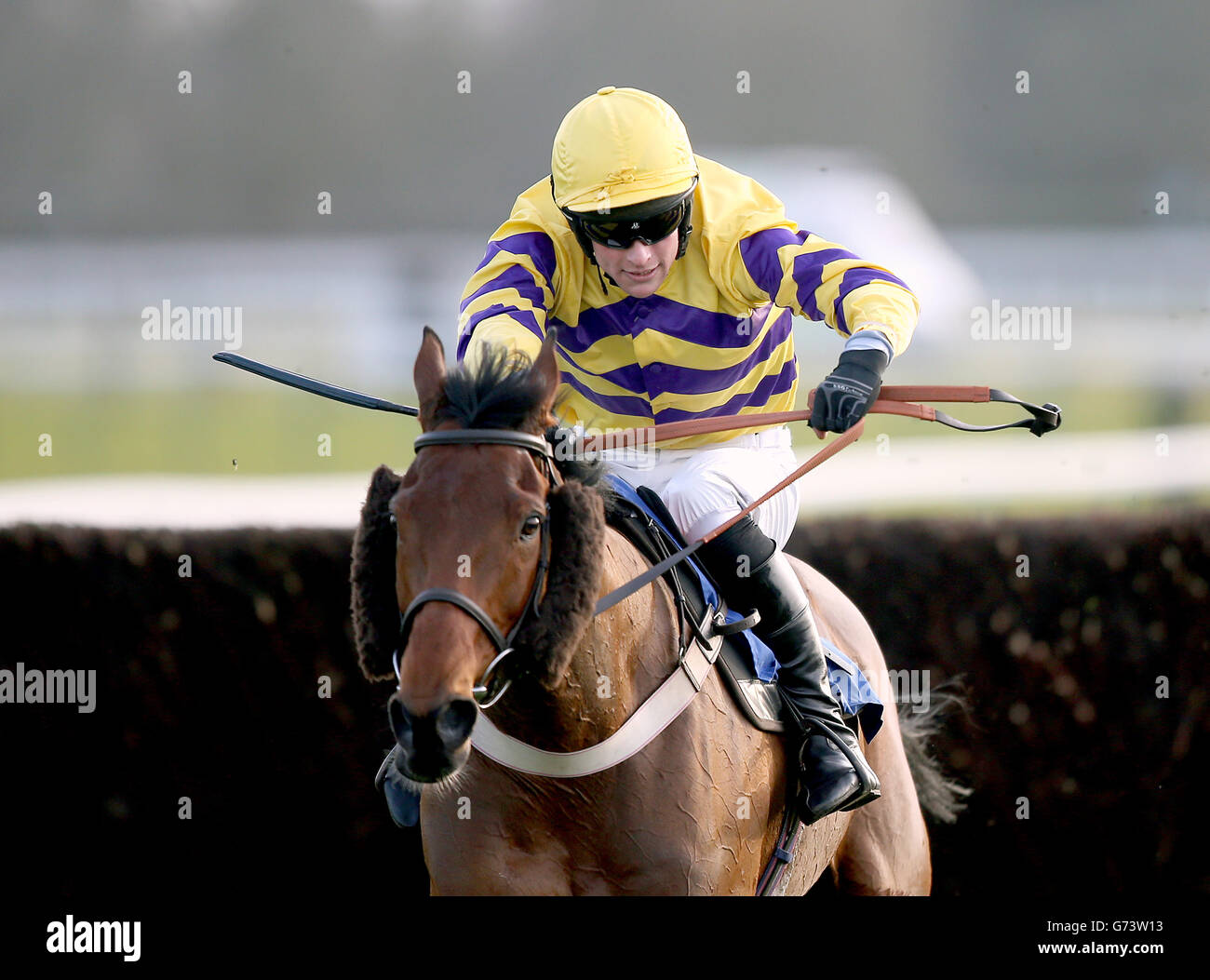 Horse Racing - Totepool National Spirit Hurdle Day - Fontwell Park ...