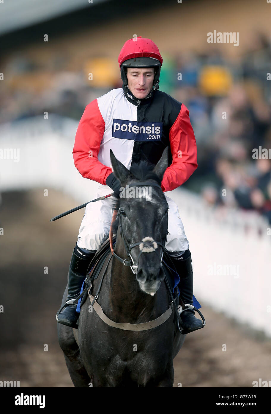 Horse Racing - Totepool National Spirit Hurdle Day - Fontwell Park ...
