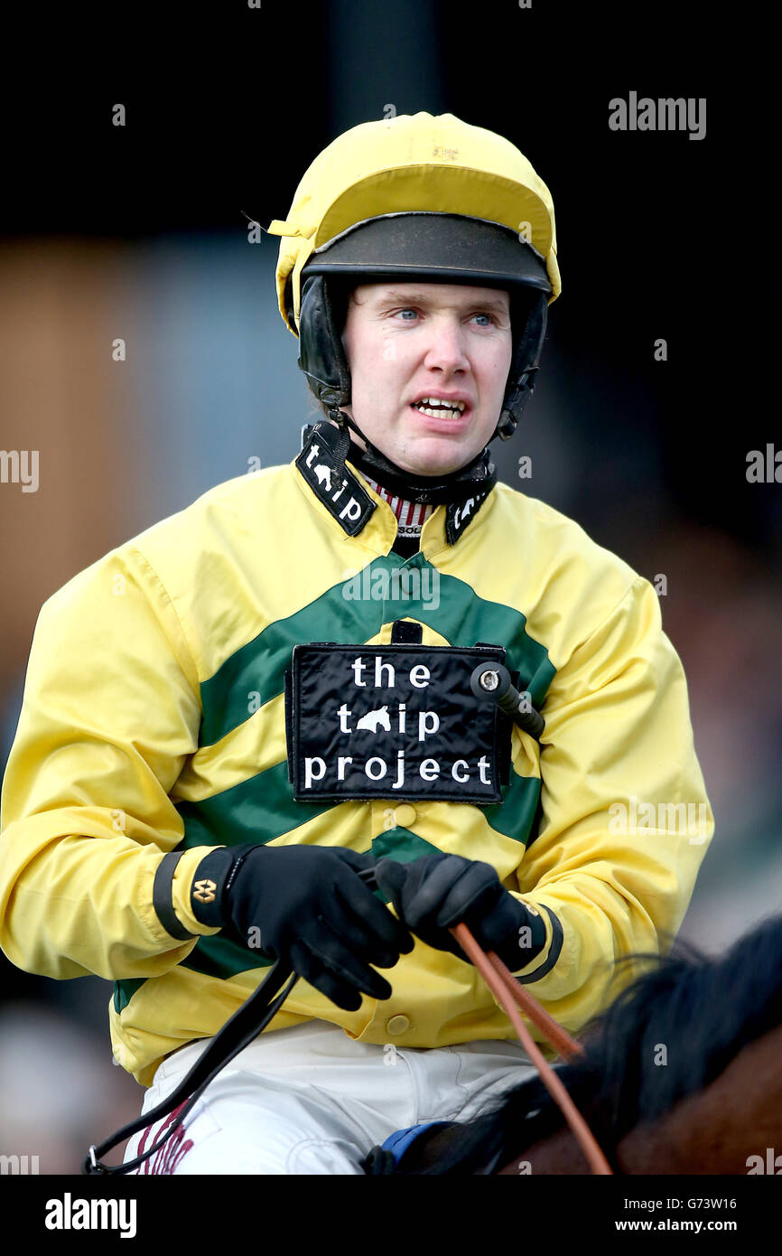 Horse Racing - Totepool National Spirit Hurdle Day - Fontwell Park ...