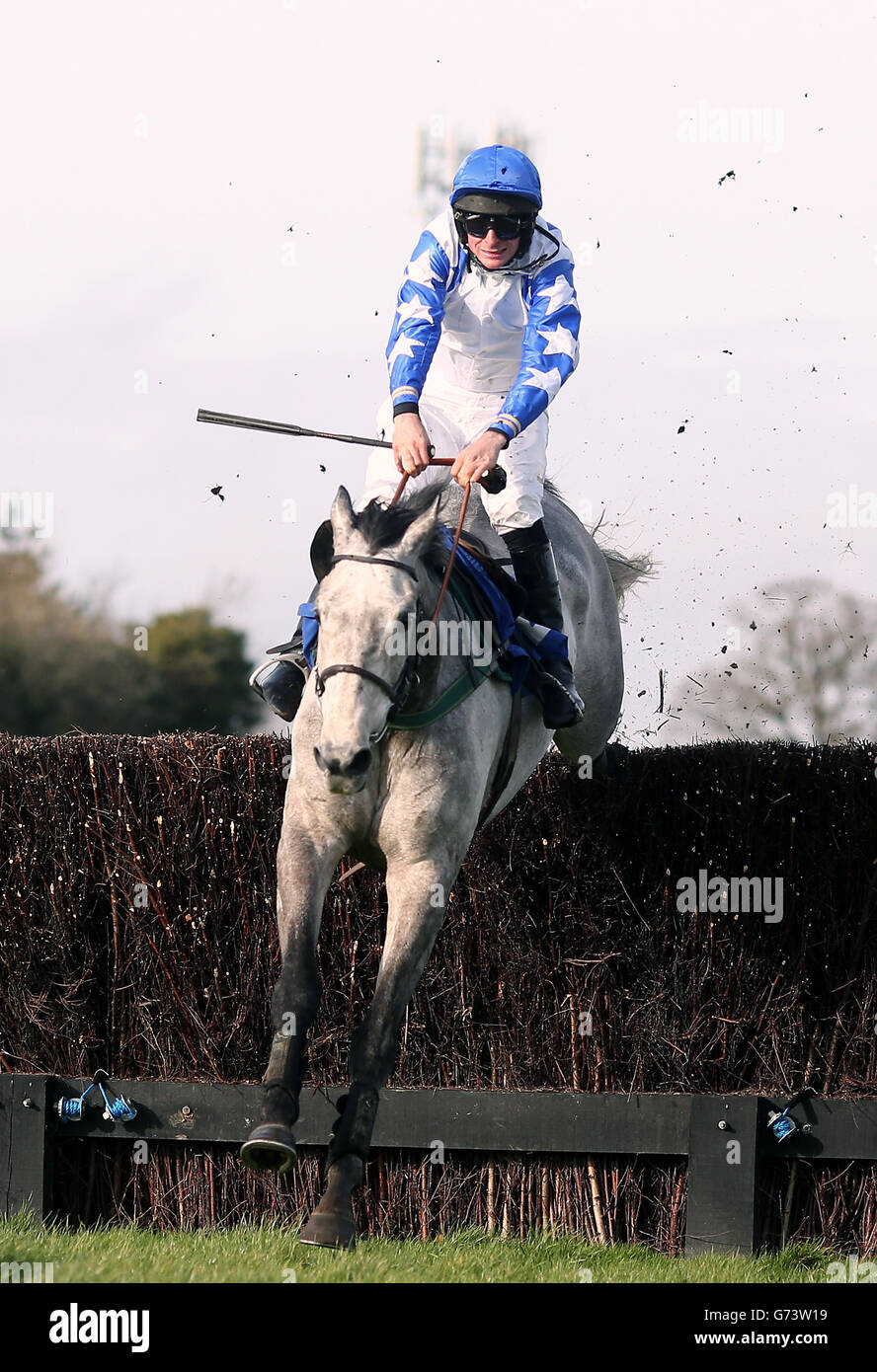 Horse Racing - Totepool National Spirit Hurdle Day - Fontwell Park ...