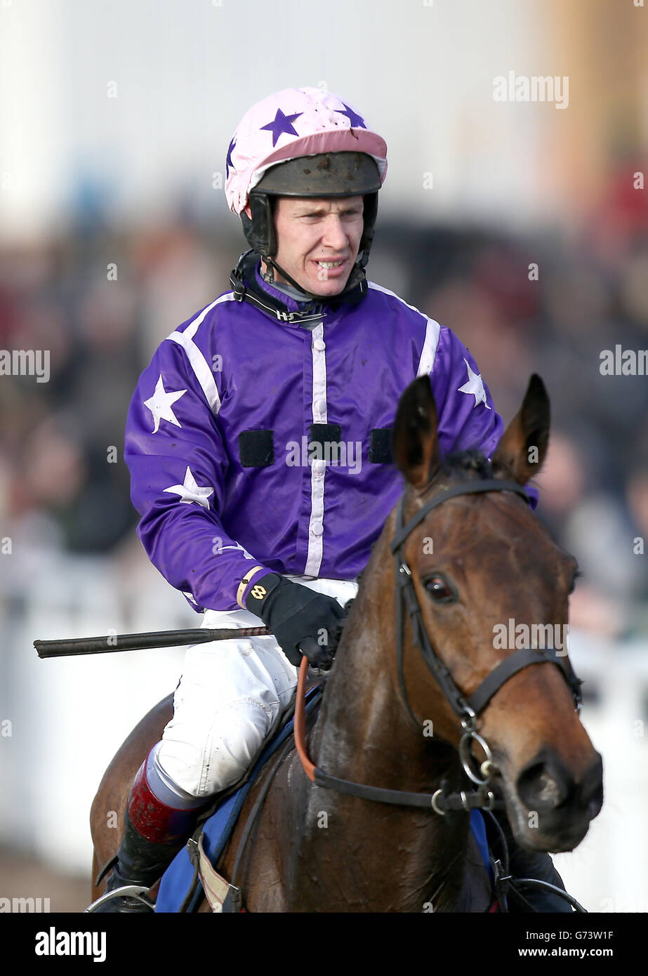 Horse Racing - Totepool National Spirit Hurdle Day - Fontwell Park ...
