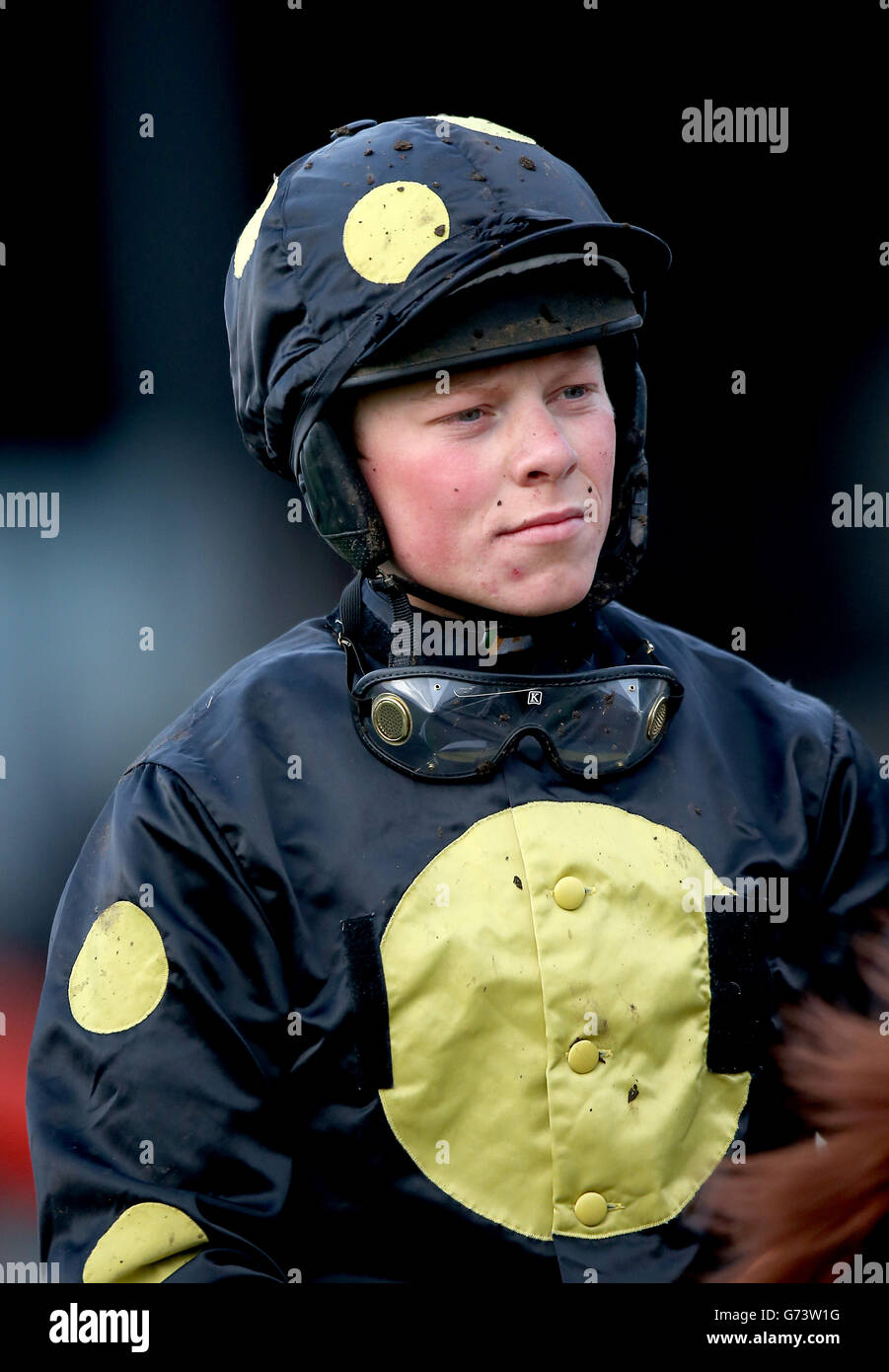 Horse Racing - Totepool National Spirit Hurdle Day - Fontwell Park ...