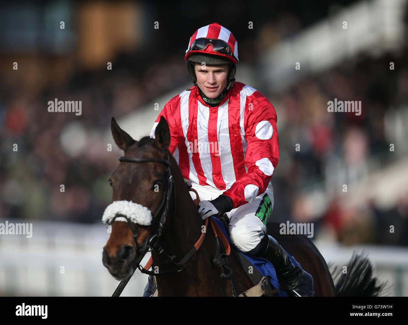 Horse Racing - Totepool National Spirit Hurdle Day - Fontwell Park ...