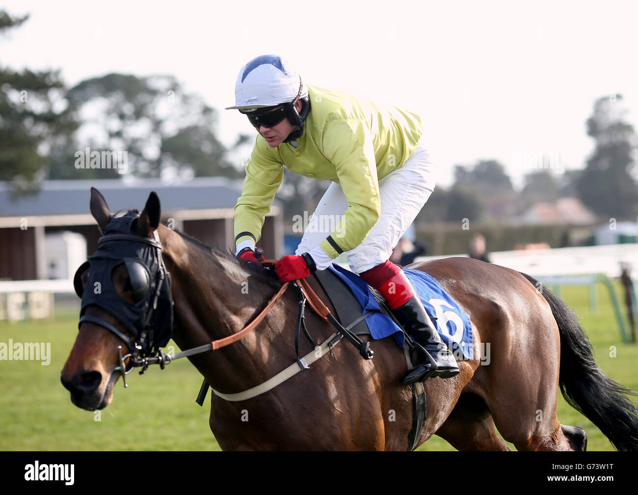Horse Racing - Totepool National Spirit Hurdle Day - Fontwell Park ...