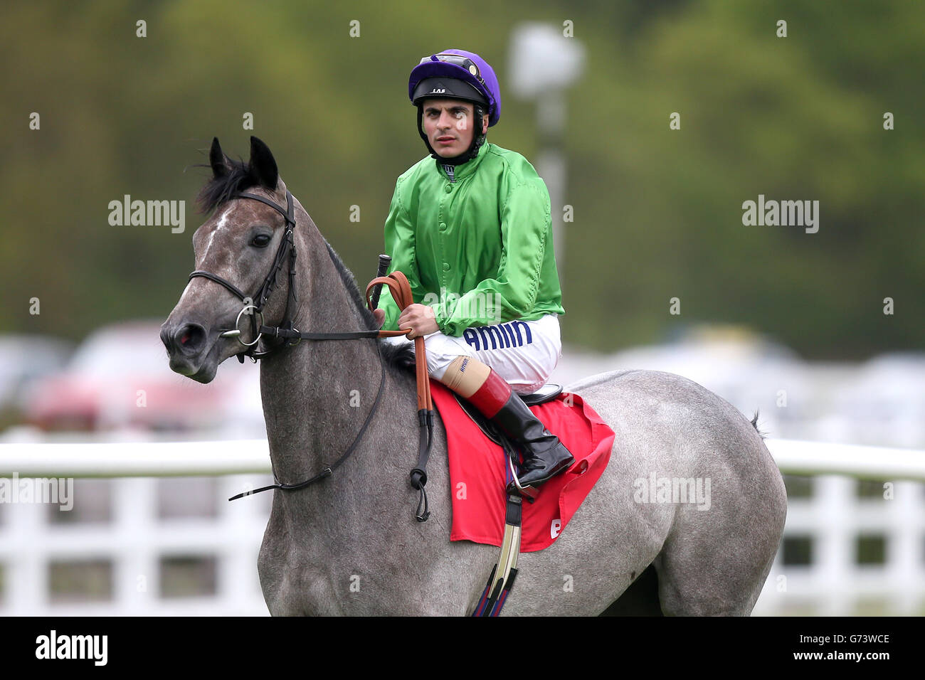 Mutatis mutandis hi-res stock photography and images - Alamy