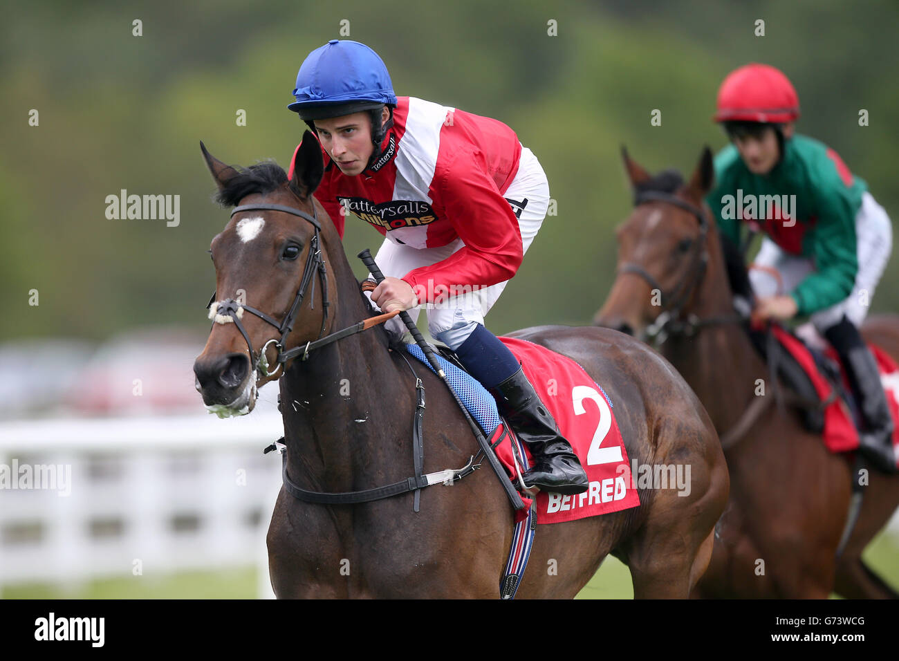 Horse trial today hi-res stock photography and images - Alamy