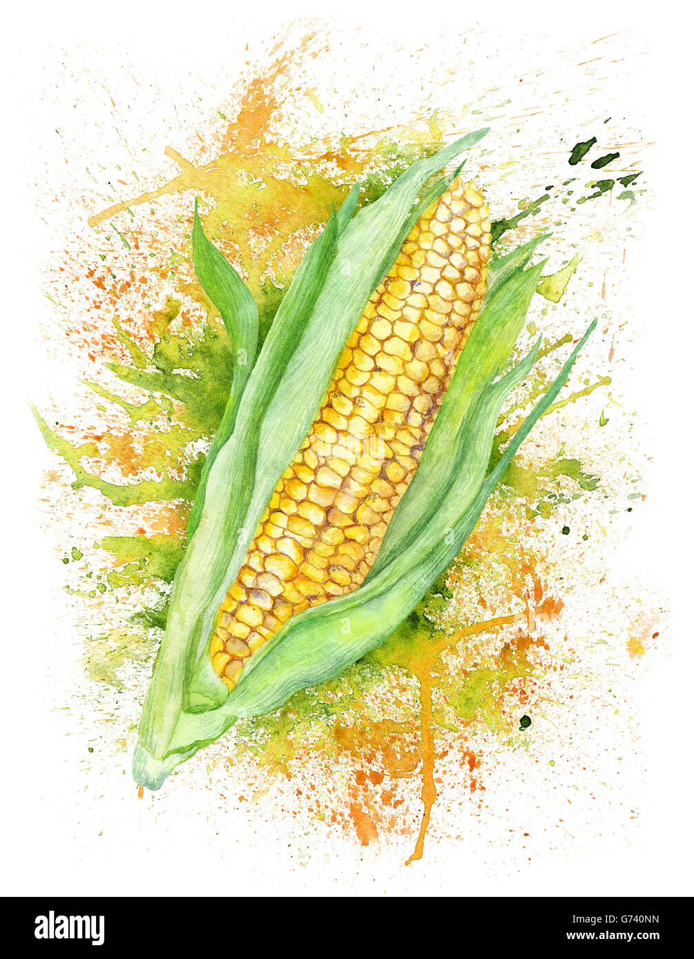 White maize hi-res stock photography and images - Alamy