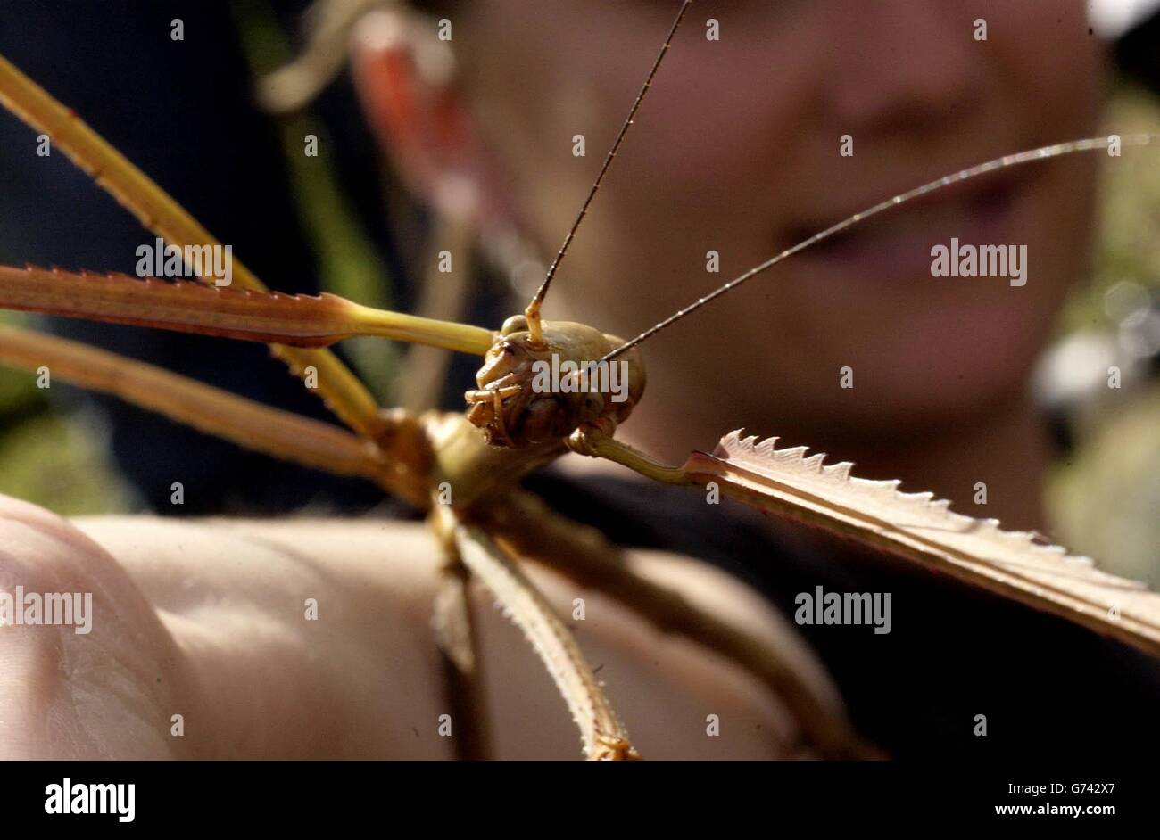 Biodiversity exhibits hi-res stock photography and images - Alamy