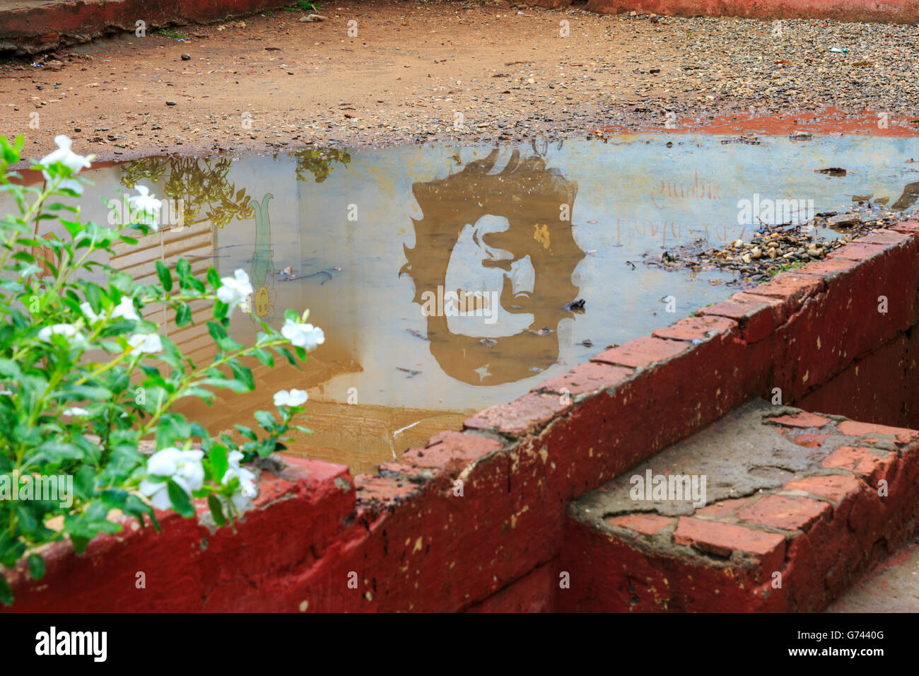 Reflection of a Che Guevara wall mural in a rain puddle in a courtyard ...