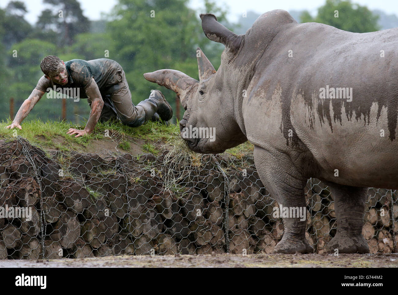 Blair Drummond Safari Park keeper Graeme Alexander crawls along a verge ...